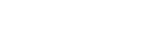 Intrasys GmbH